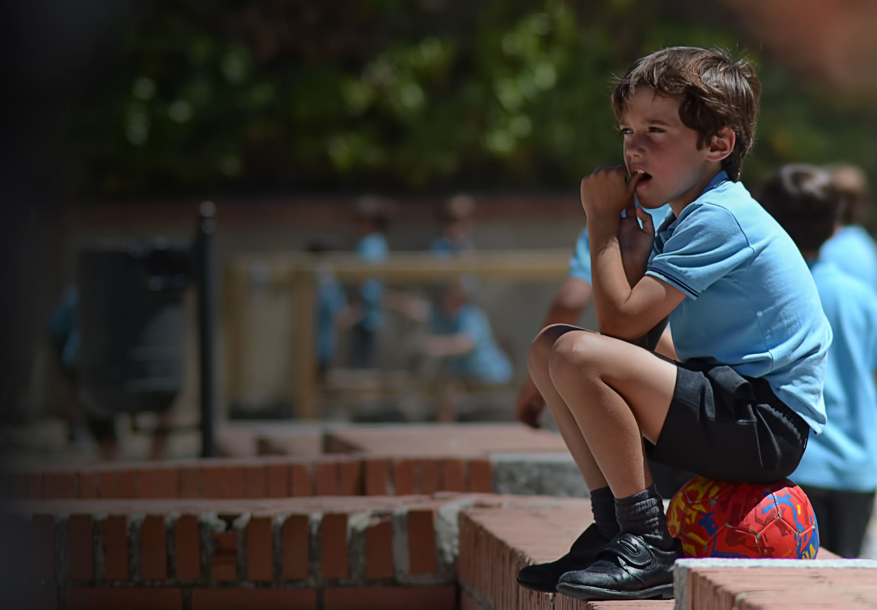 Colegio_internacional_de_familias_retamar • RETAMAR